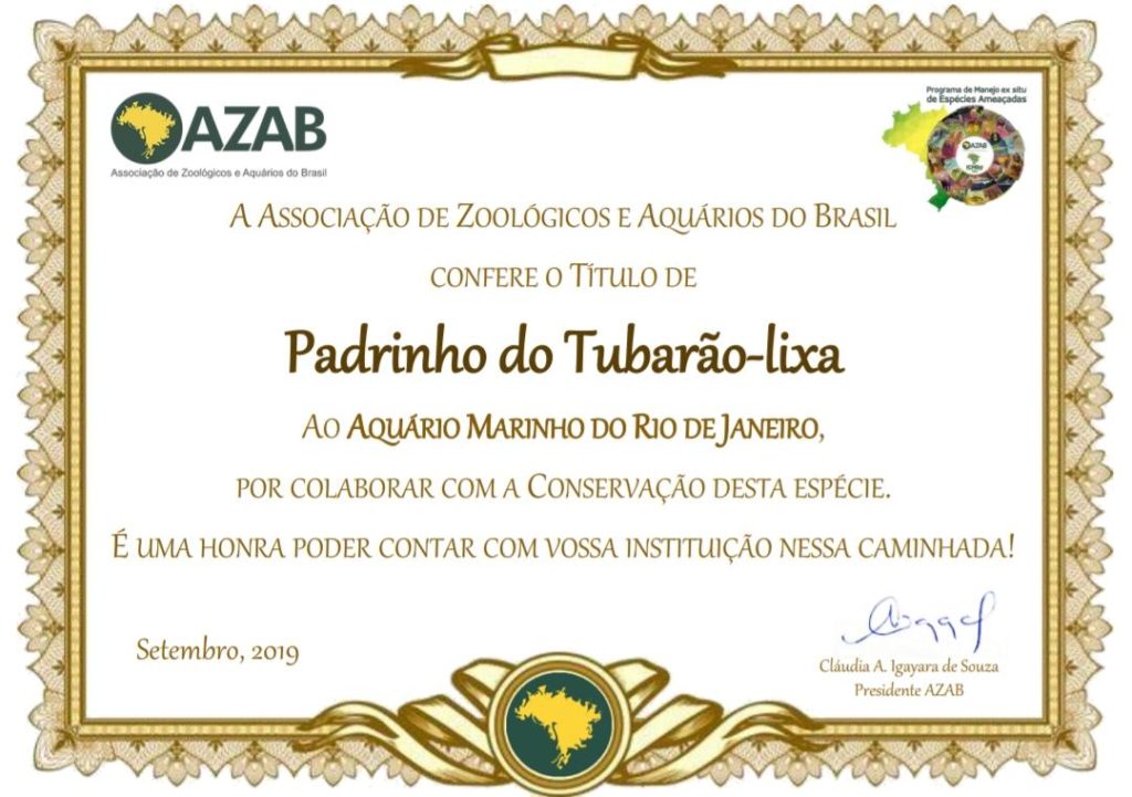 AquaRio e tubarão lixa: apadrinhar para conservar - AquaRio